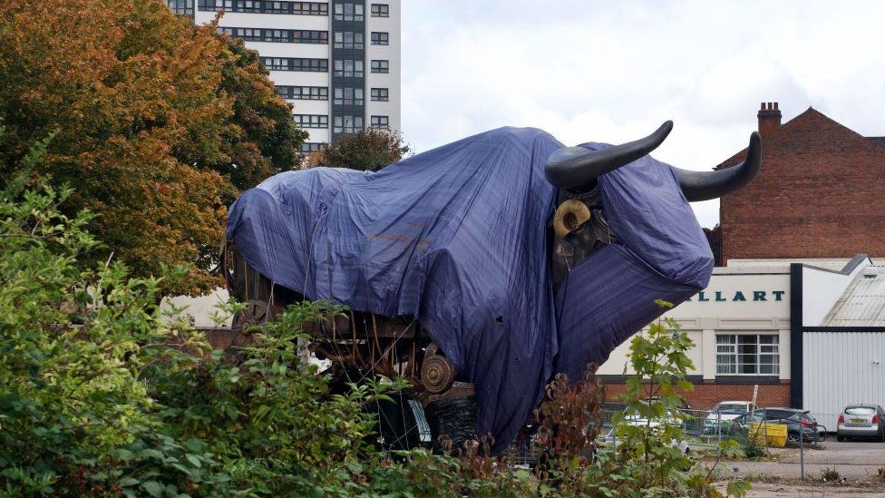 Name for Commonwealth bull shortlisted to four - BBC News