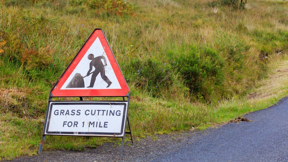 Reduced grass verge cutting to continue in Northern Ireland - BBC News