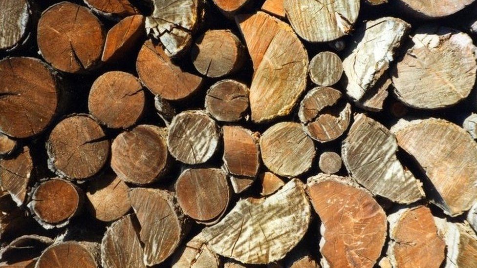 Q&A: What is biomass? - BBC News