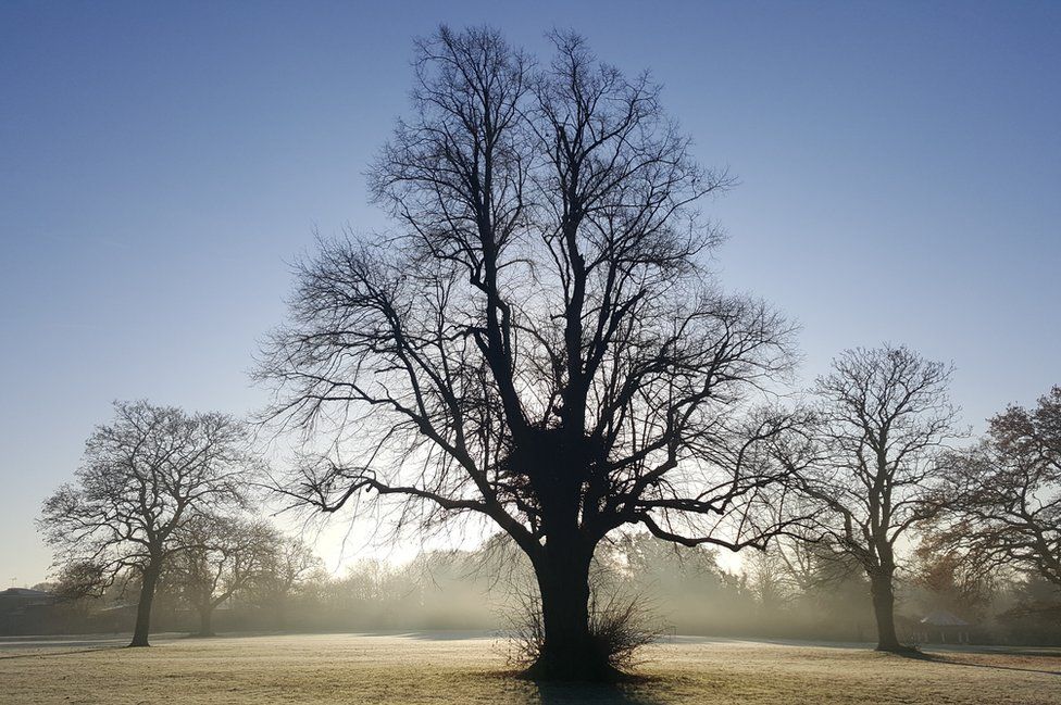 England's Big Picture: 23 - 29 November - BBC News