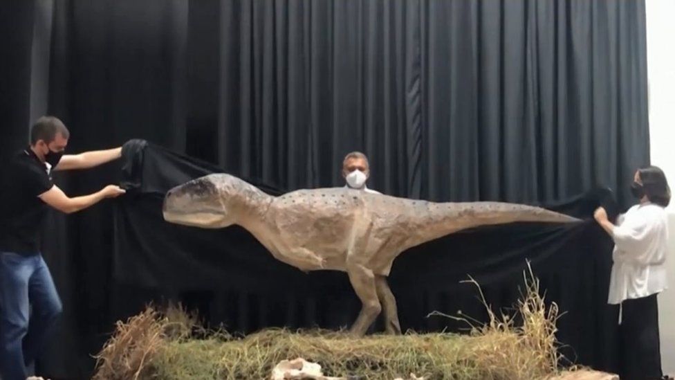 Brazil dinosaur discovered from 70 million years ago! - BBC Newsround
