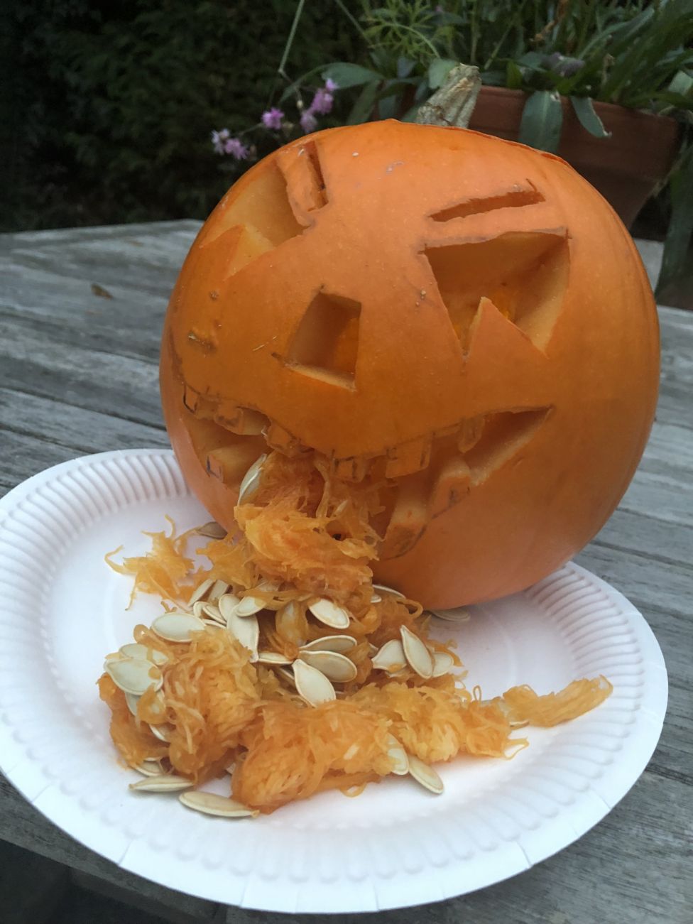 Your pump-tastic pumpkin pictures! - BBC Newsround