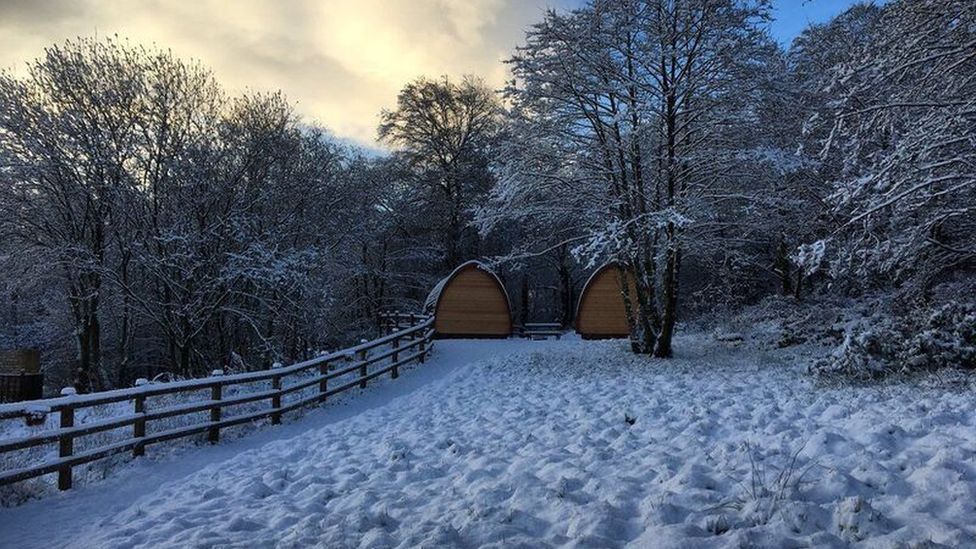 Lluniau: Golygfeydd gaeafol fis Ionawr - BBC Cymru Fyw