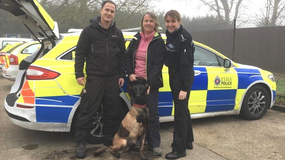 Essex Police dog Baloo finds 'forever home' - BBC News
