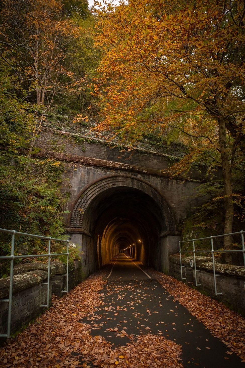 Bywyd mewn lluniau: Y gitarydd Rhys Parry - BBC Cymru Fyw