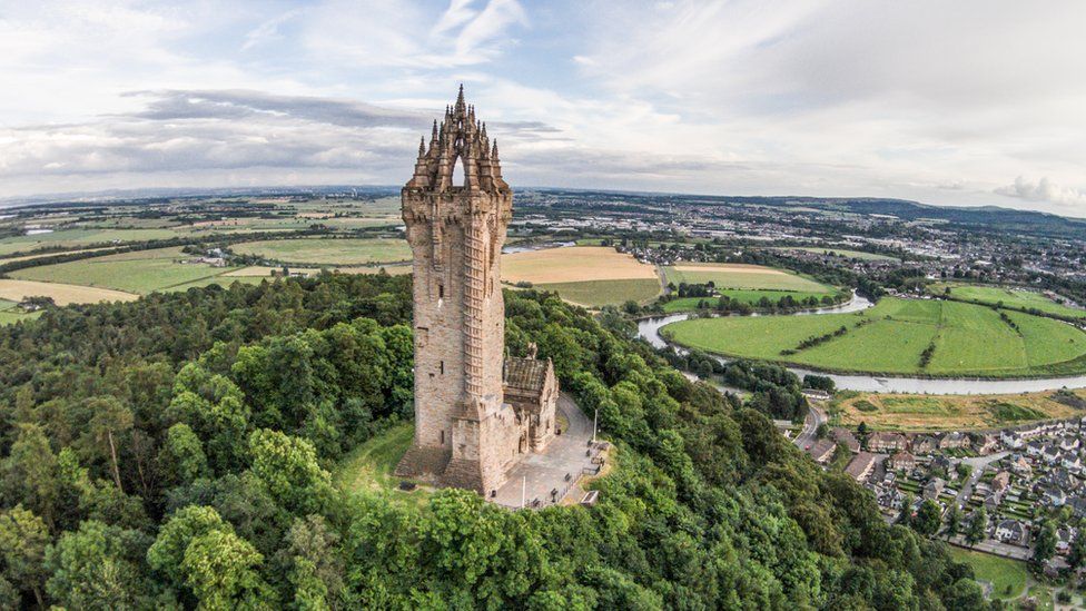Deep roots of William Wallace tree legend - BBC News