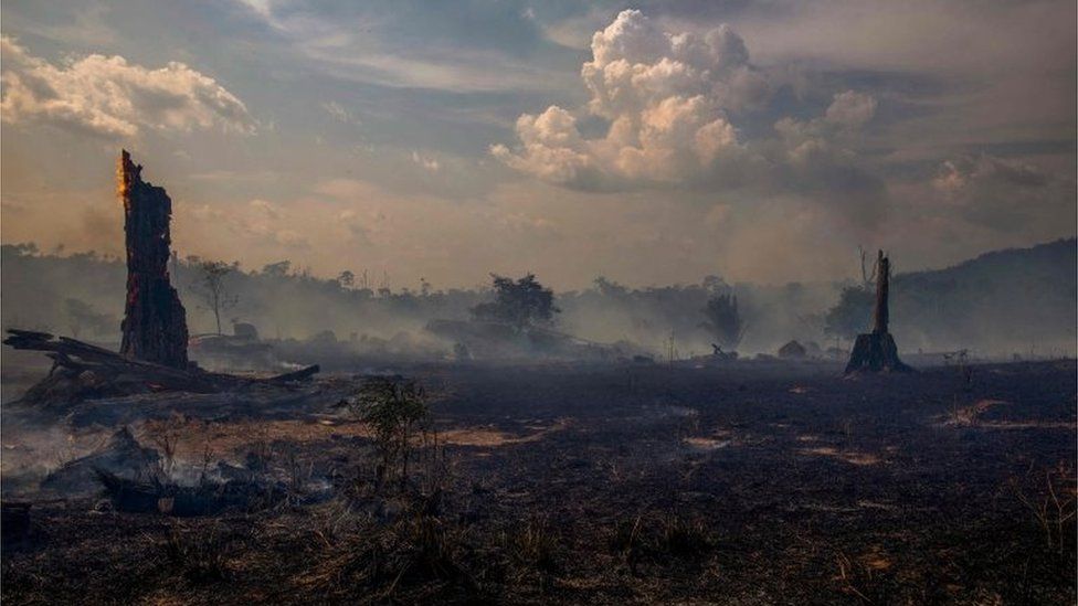Amazon fires: South American countries to meet to discuss response ...