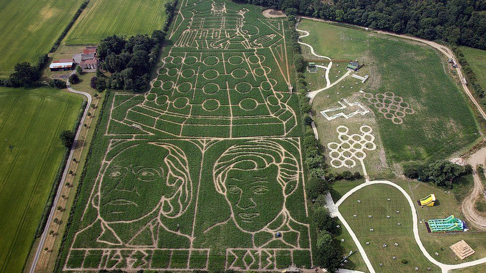 11 amazing mazes: Lion King, Doctor Who and more - BBC Newsround