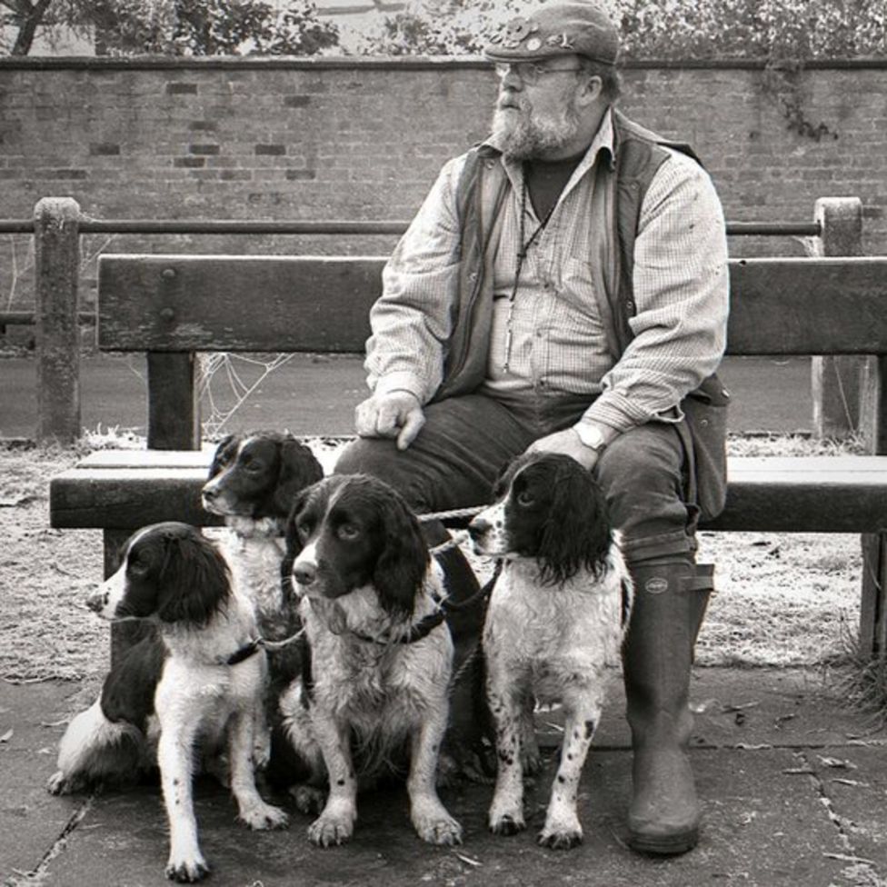 Your pictures: Rural life - BBC News