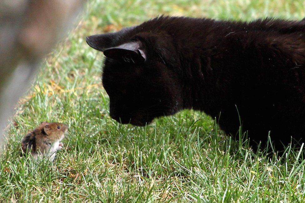 Your pictures: Fragile - BBC News