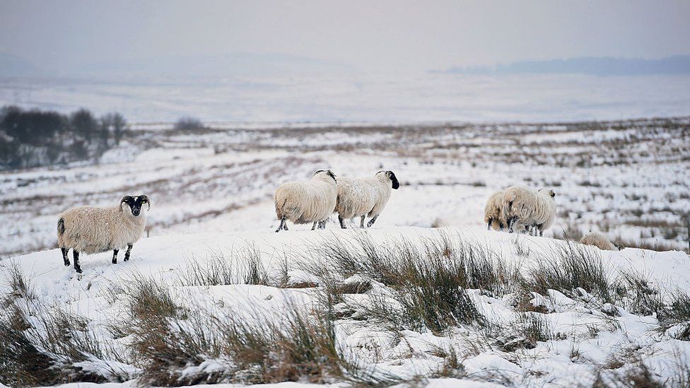 In pictures: Scotland in the snow - BBC News