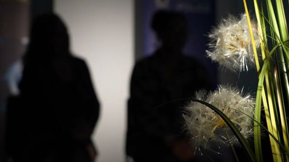 Wolverhampton shooting: 'This isn't Grand Theft Auto, it's real life ...