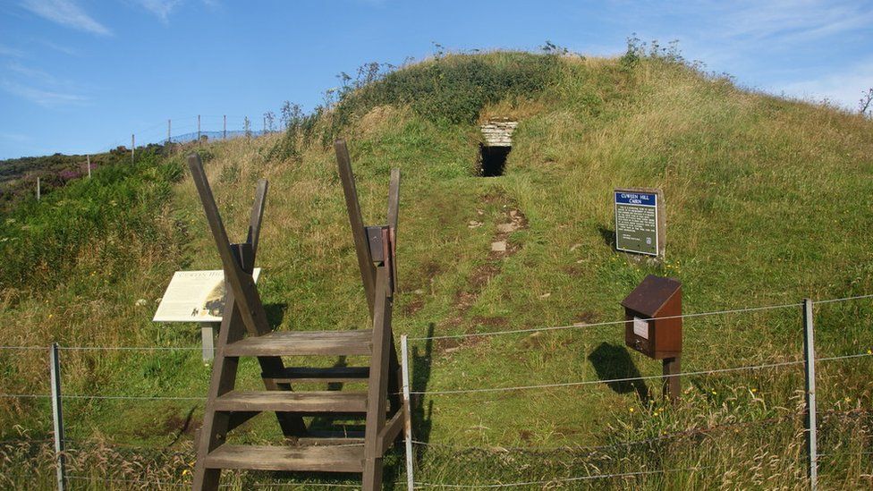 Neolithic dog's head recreated using Orkney skull - BBC News