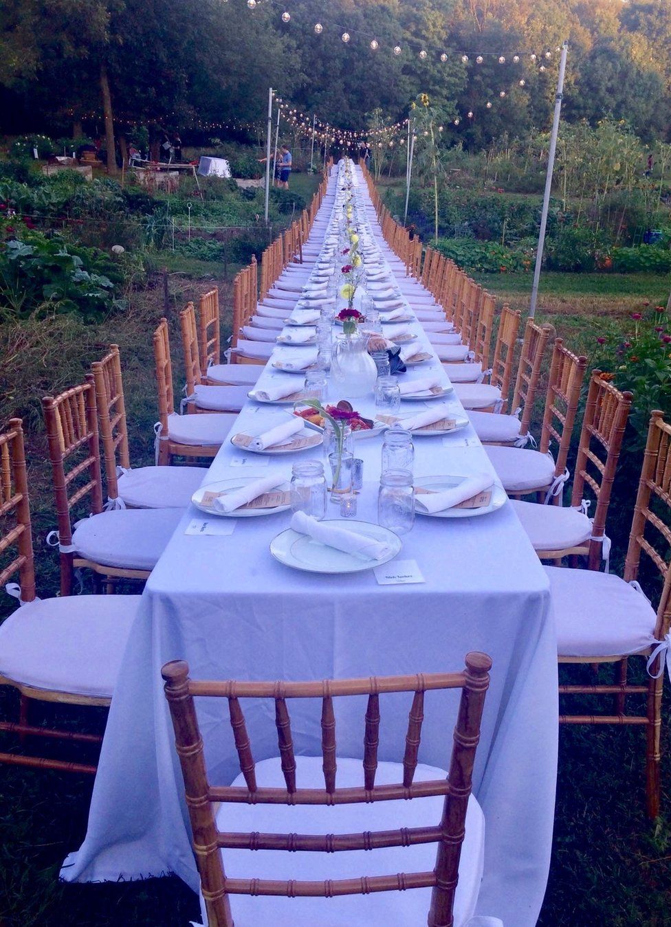 Your pictures on the theme of 'garden party' - BBC News