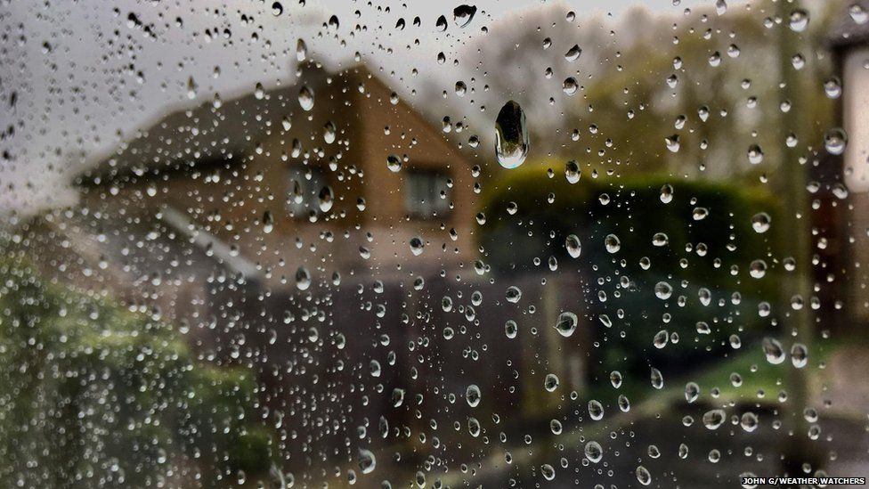 Making the most of a transitional season - BBC Weather