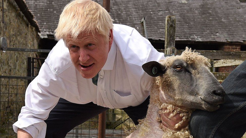News Daily: PM talks farming and viral hit breaks US record - BBC News