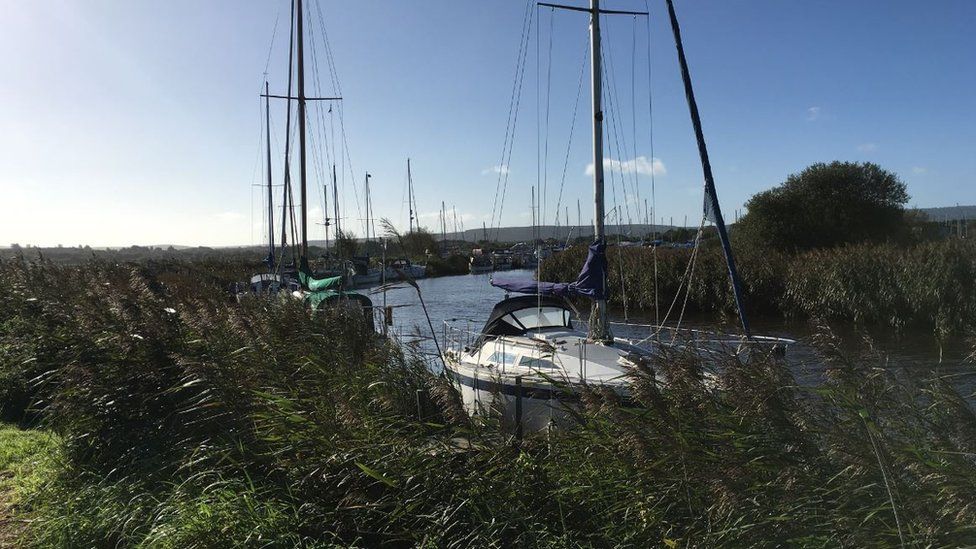Arne Moors wetland plans aim to protect birds - BBC News