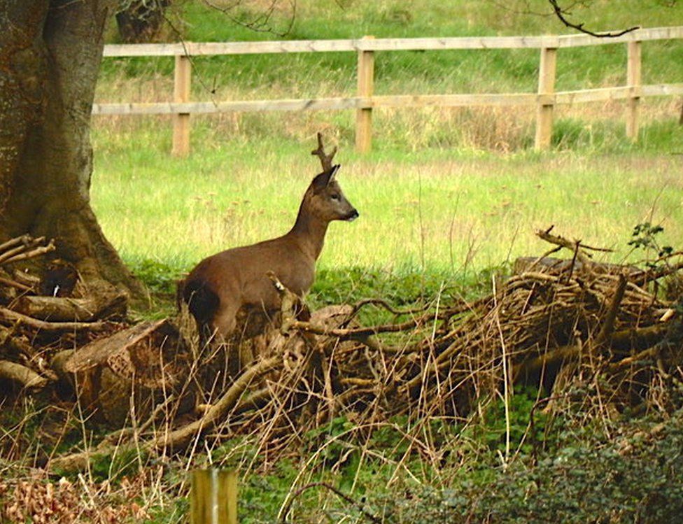 England's Big Picture: 6 - 12 April - BBC News