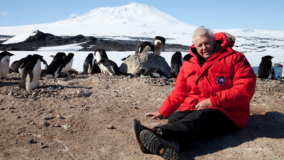 Ateb y Galw: Wyre Davies - BBC Cymru Fyw