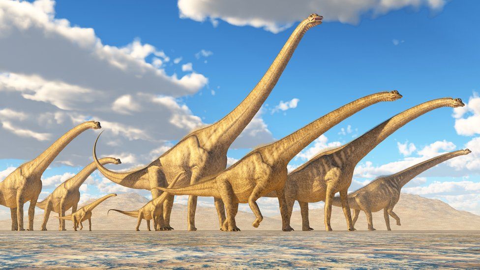 Palaeontology: Hot summer in Texas reveals dino tracks from 110 million ...