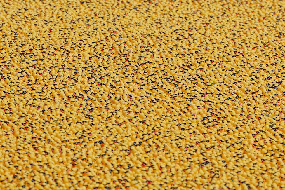 Week in pictures: 5-11 August 2023 - BBC News