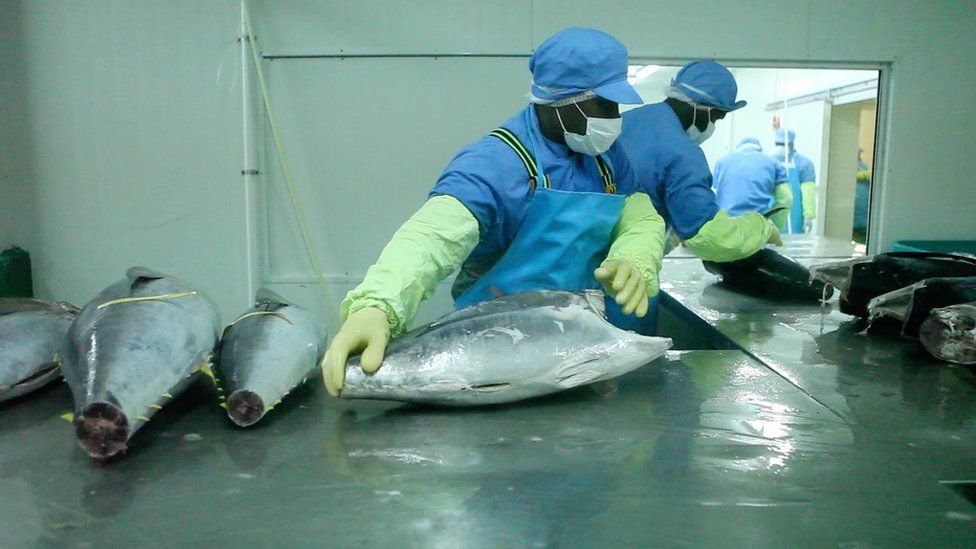 Pacific islands want a bigger share of fishing income - BBC News