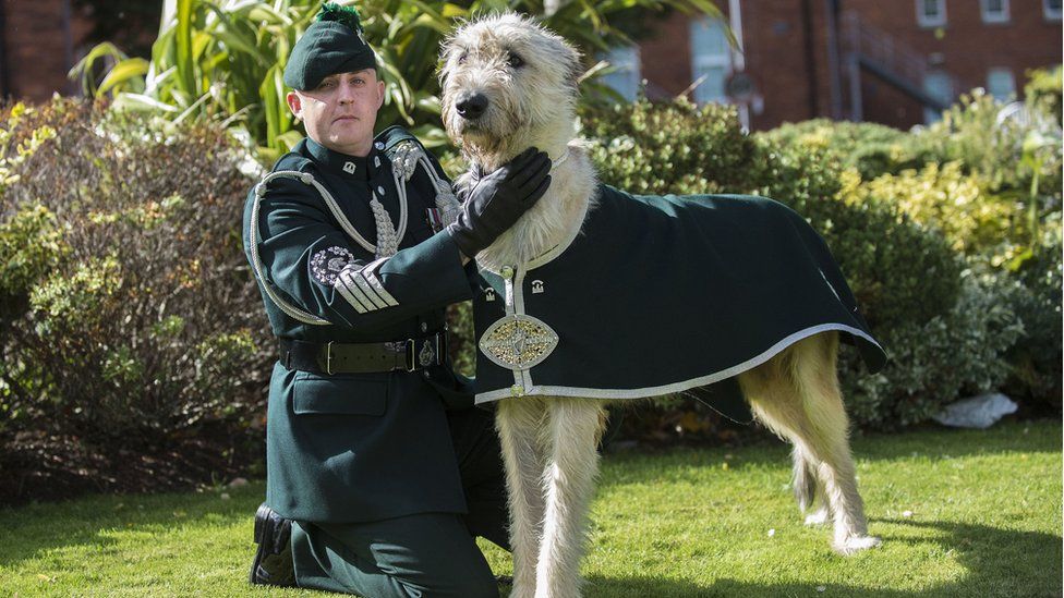 Newspaper headlines: Airport stand-off and the 'king of wolves' - BBC News