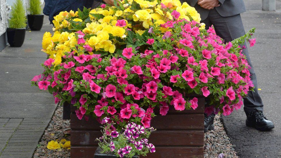 Ahoghill wins Britain in Bloom champion of champions award - BBC News