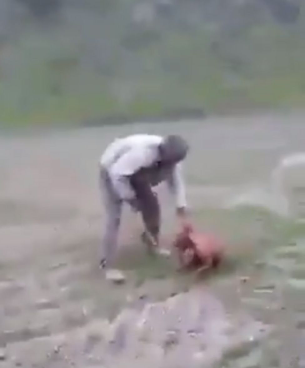 Does a shocking video mark a turning point on animal abuse in Iran ...