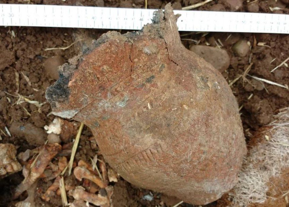 Bronze Age skeleton found by Rock farmer preparing field - BBC News