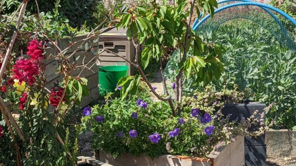 British Library £500m 12-storey extension approved by council - BBC News