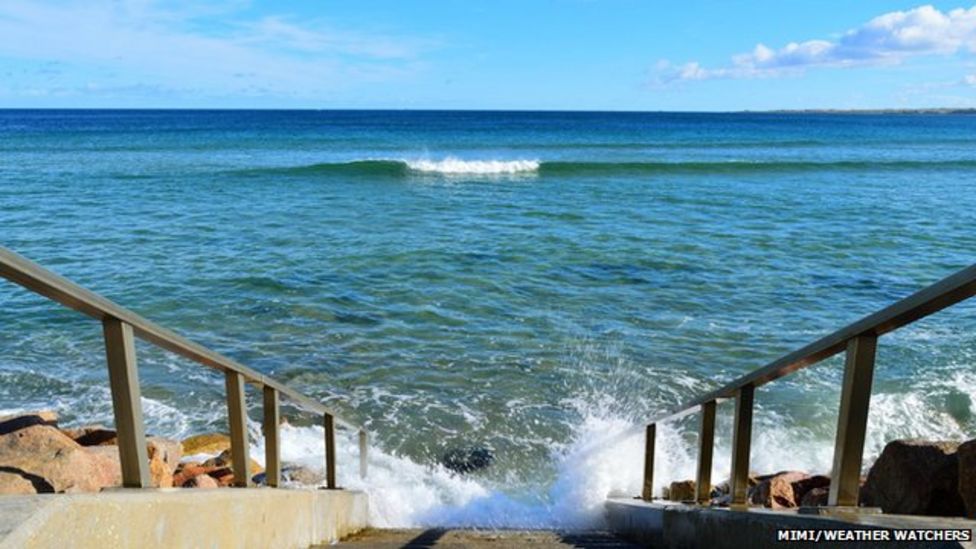 Weather Watcher profile: Mimi - BBC Weather