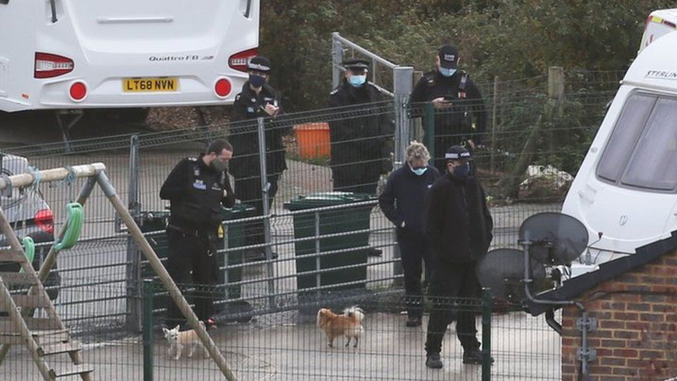 Nine puppies found dumped by Buckinghamshire road - BBC News
