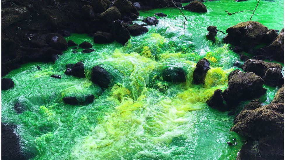 Marble Arch Caves: the science behind the tracing of water - BBC News