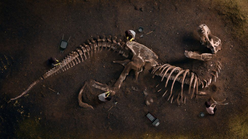 Big John: The world's largest triceratops skeleton sells for €6.65m ...