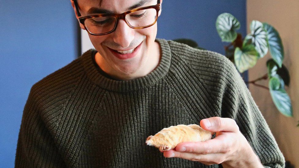 Cheesemaking and taxidermy: What we learned in lockdown - BBC News