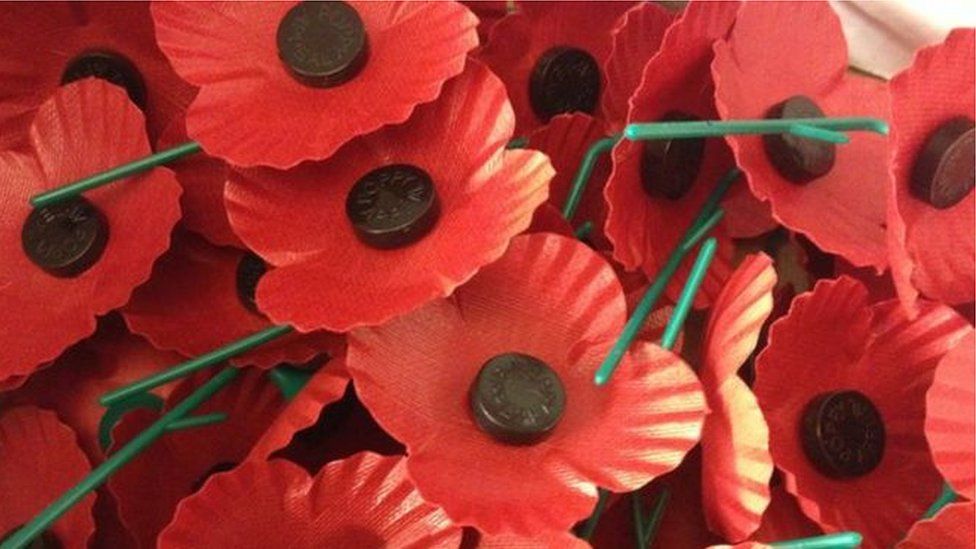Annual Scottish Poppy Appeal launched - BBC News