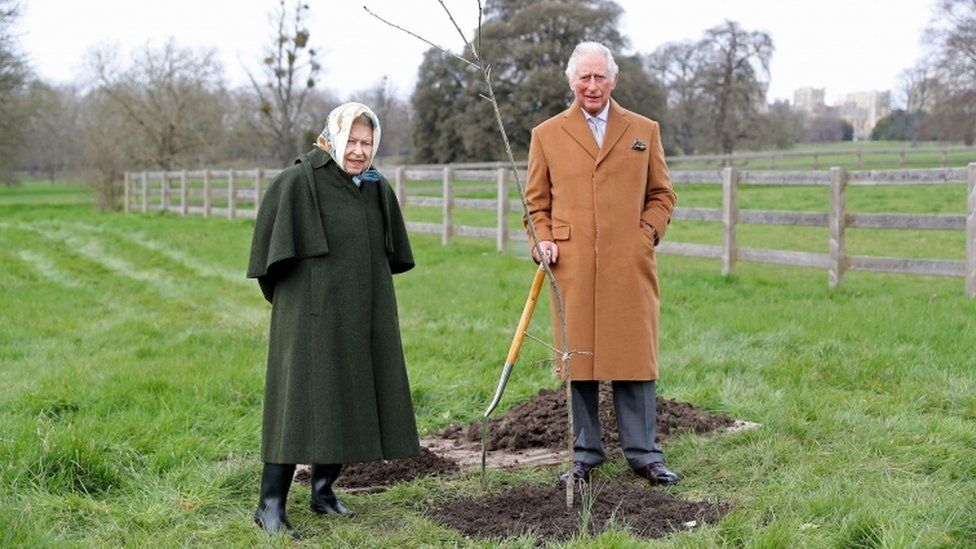 King Charles thanks people who planted trees for scheme - BBC Newsround
