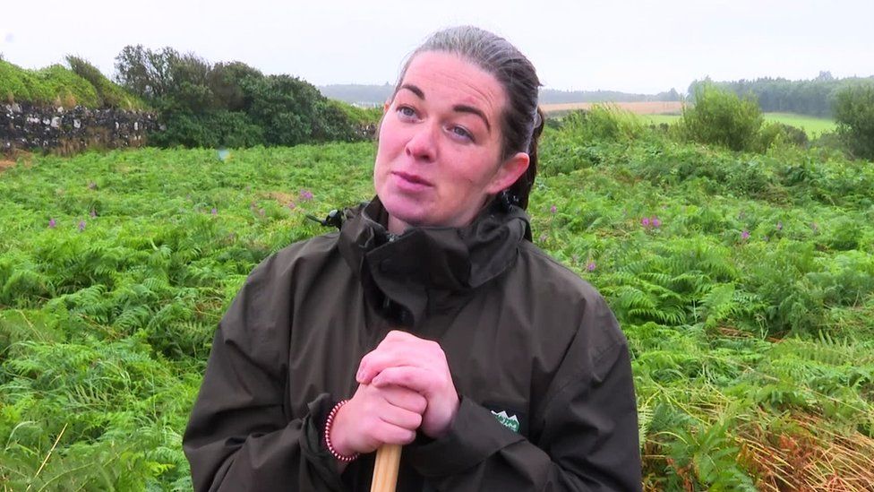 Bracken bashing in the Castlerock countryside - BBC News