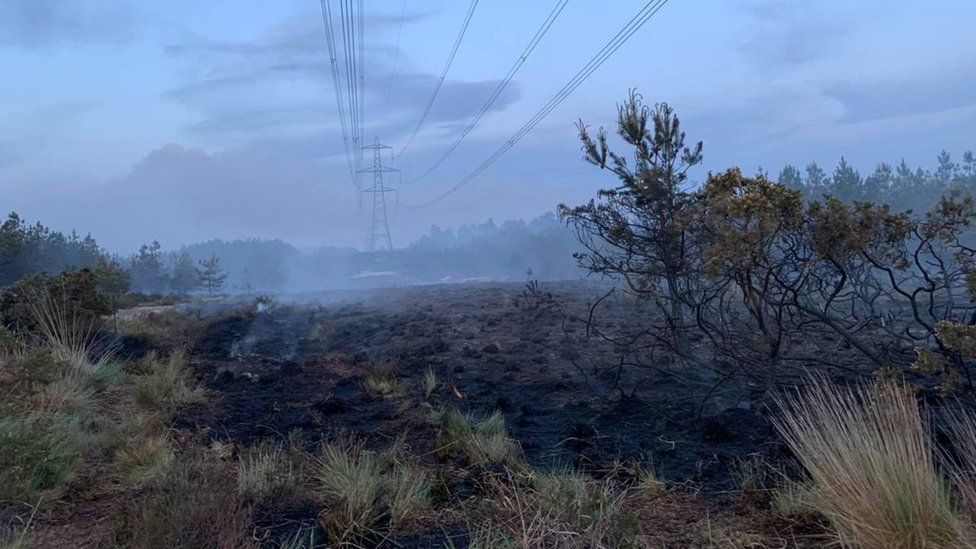 Wareham Forest: Large fire breaks out at beauty spot - BBC News