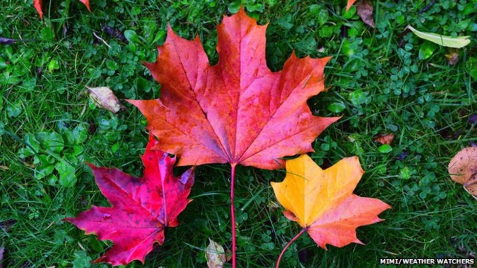 Weather Watchers photos: Scotland - BBC Weather