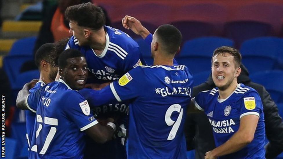 Stopping players celebrating a 'joke', says Cardiff City boss Neil ...