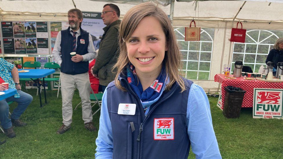 Tân gwyllt: Galw am wahardd llusernau awyr yn llwyr - BBC Cymru Fyw