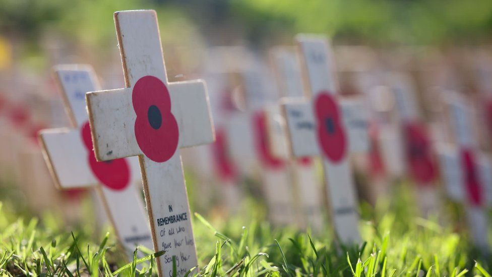 Poppy Appeal: Swindon field of crosses commemorates the fallen - BBC News