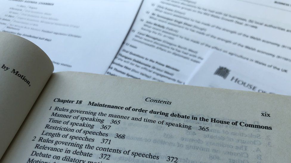 'Parliamentary bible' Erskine May available online for free - BBC News