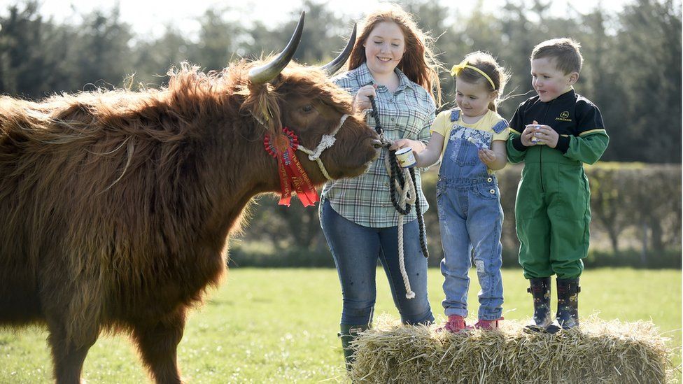 The 176th Royal Highland Show gets under way in Edinburgh - BBC News