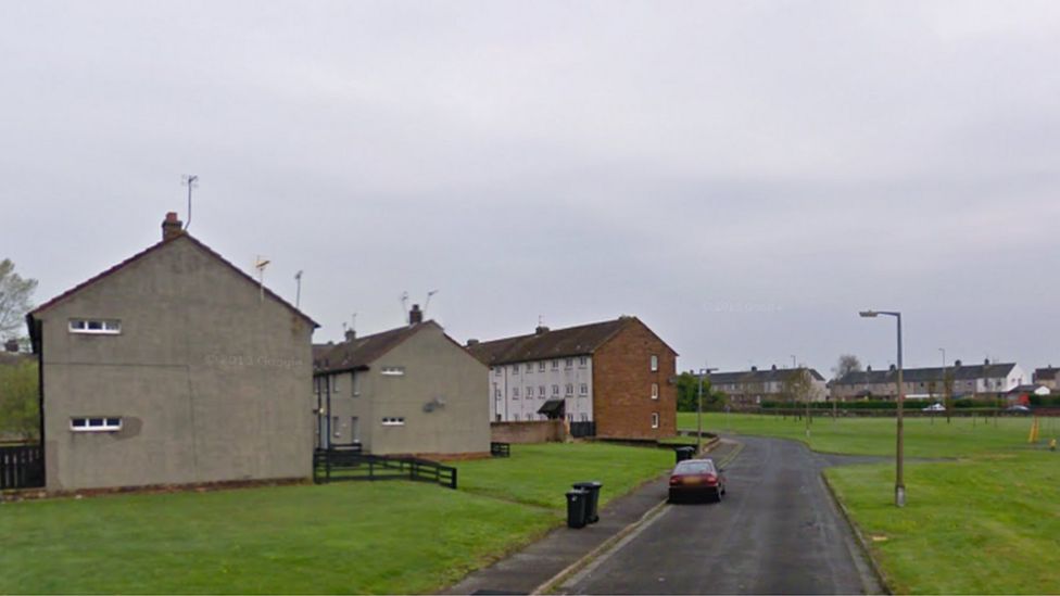 Dog attack-levels on Royal Mail workers 'unacceptable' - BBC News