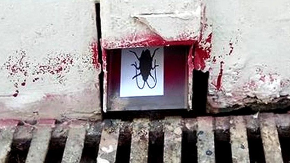 Greek election: Why frustrated young voters are turning conservative ...