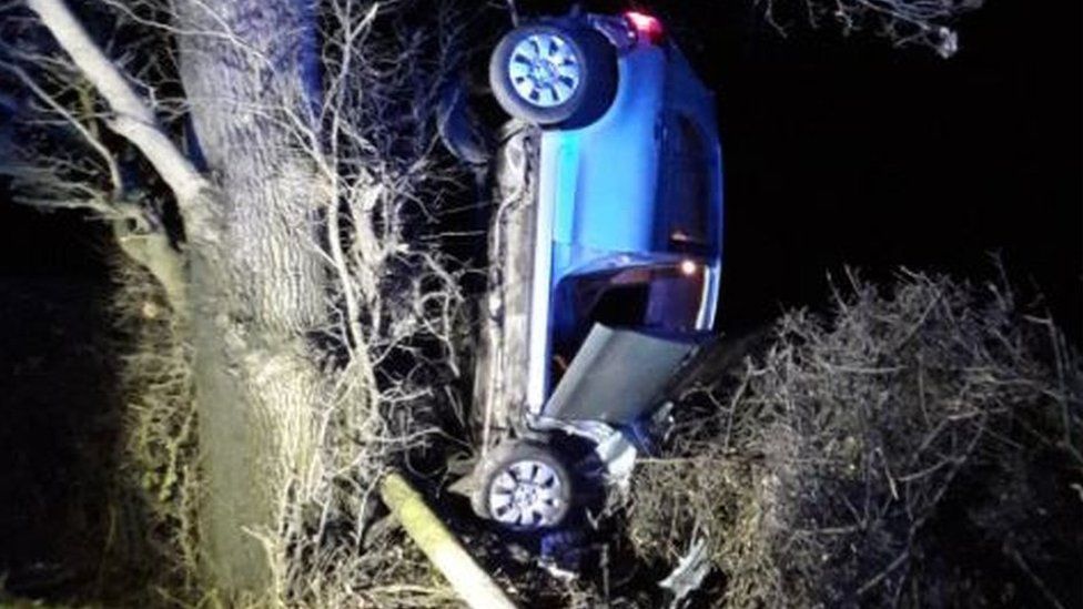 Shrewsbury crash leaves car vertical in tree - BBC News