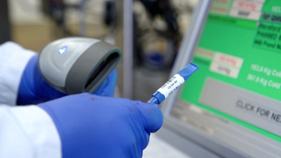 DNA being used to trace history of Scottish meat products - BBC News